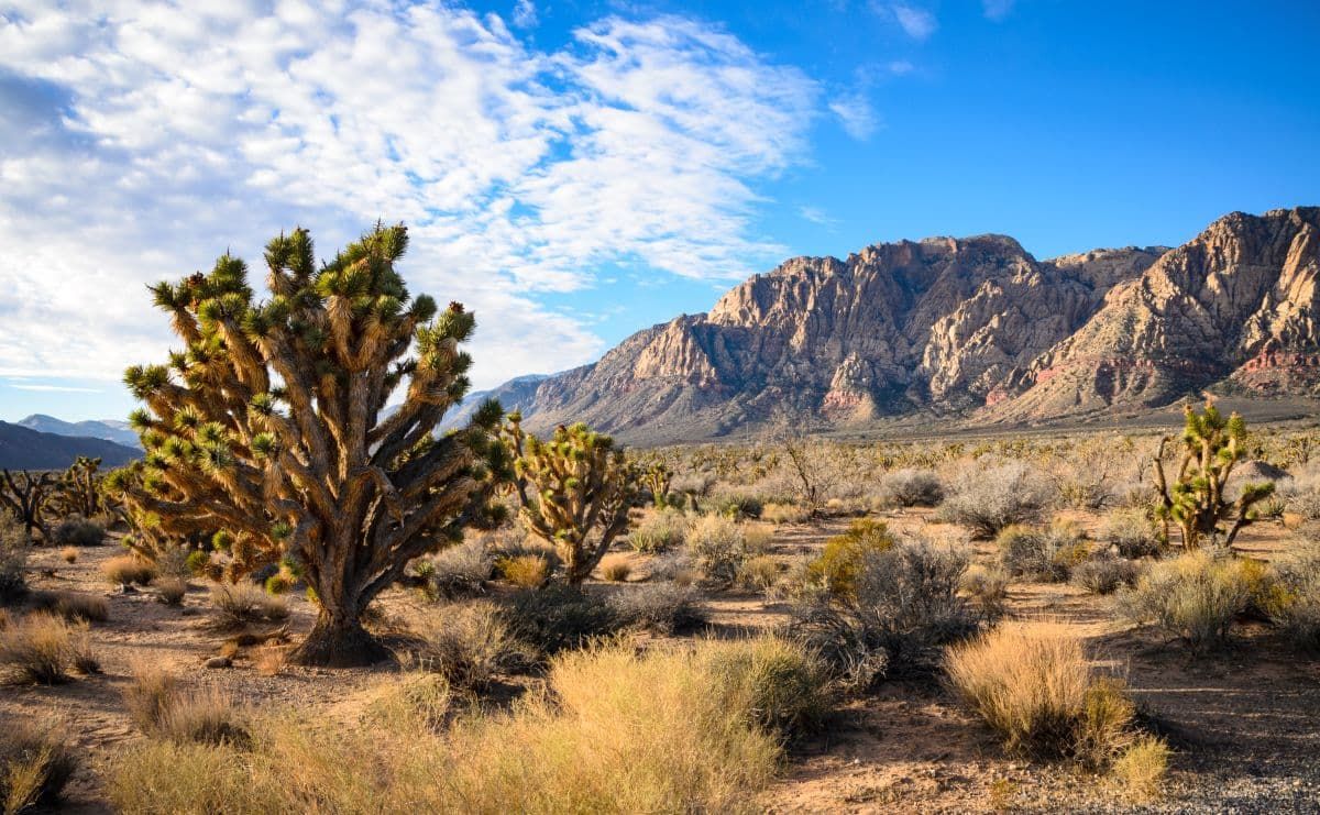 11 Best Day Trips from Las Vegas