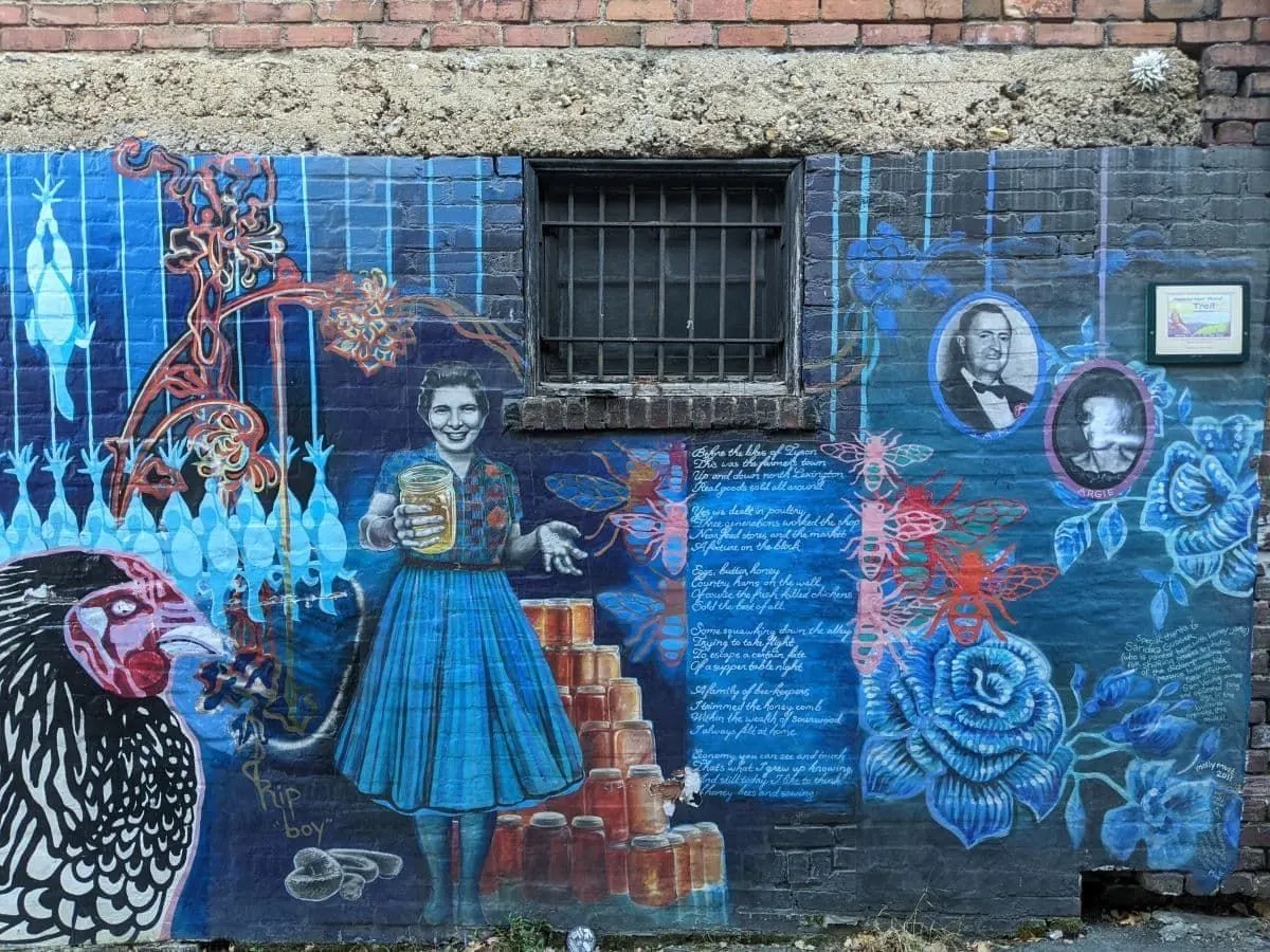 29 Best Things to Do in Asheville NC (Year Round Fun!)